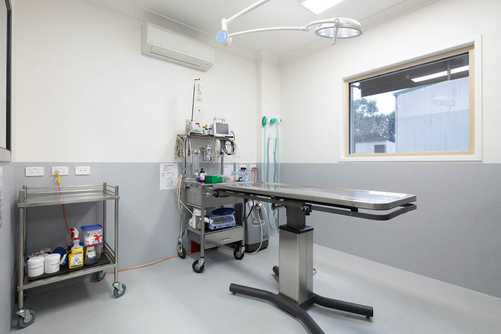 Our Veterinary Facilities - South Cranbourne Veterinary Surgery