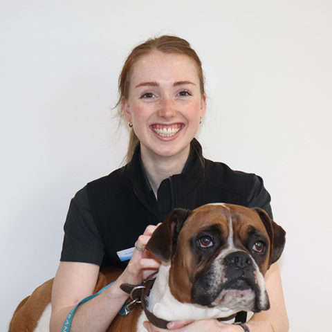 Get to Know Our Team | South Cranbourne Veterinary Surgery
